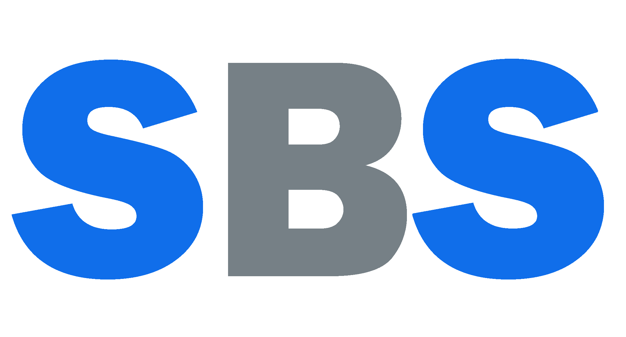 SBS Trading and Investment LTD